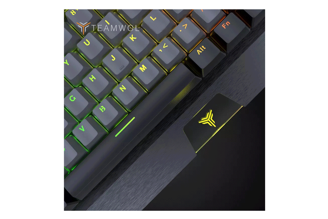 Teamwolf - X75 Gaming Mechanic Keyboard