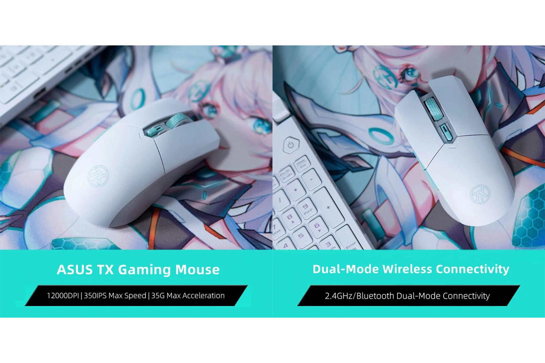 Asus - P310 TX Mouse White